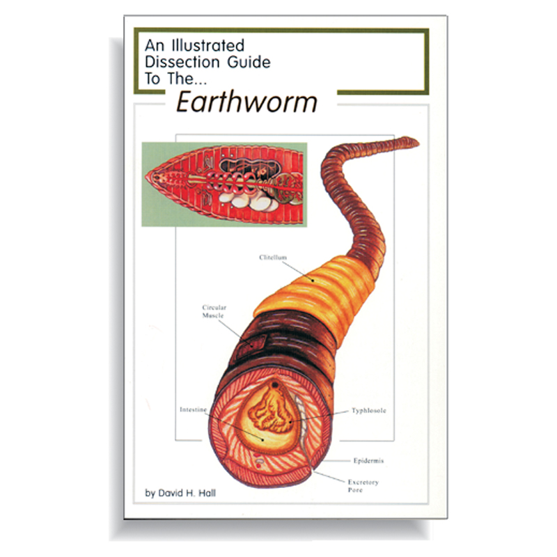 Dissection Guide Earthworm
